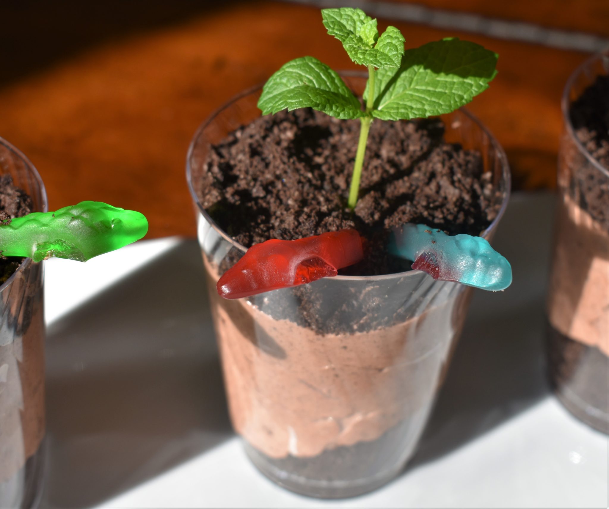 Dirt Cups | Kids Can Cook Recipe Review - JUST BROWSING