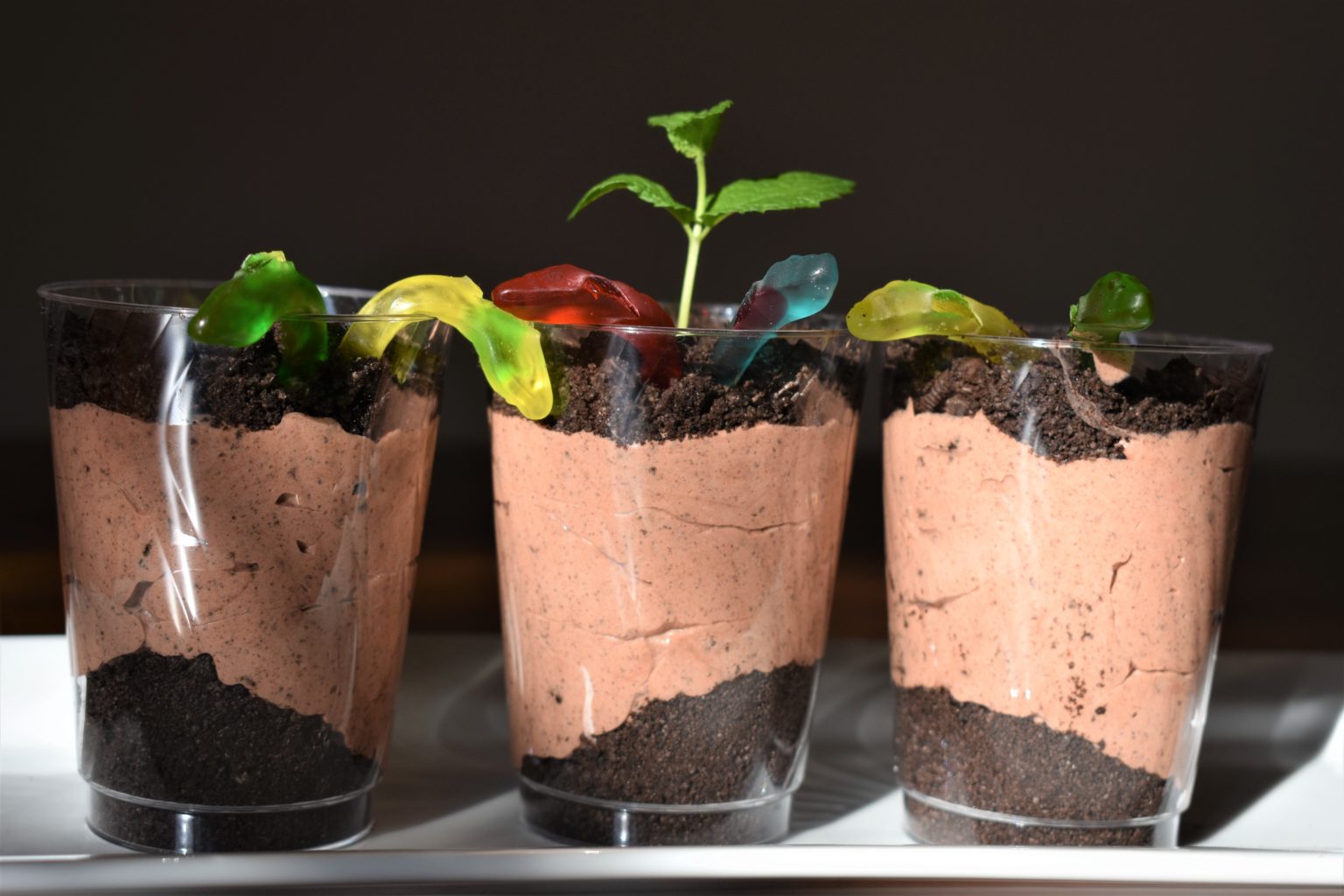 Dirt Cups | Kids Can Cook Recipe Review - JUST BROWSING